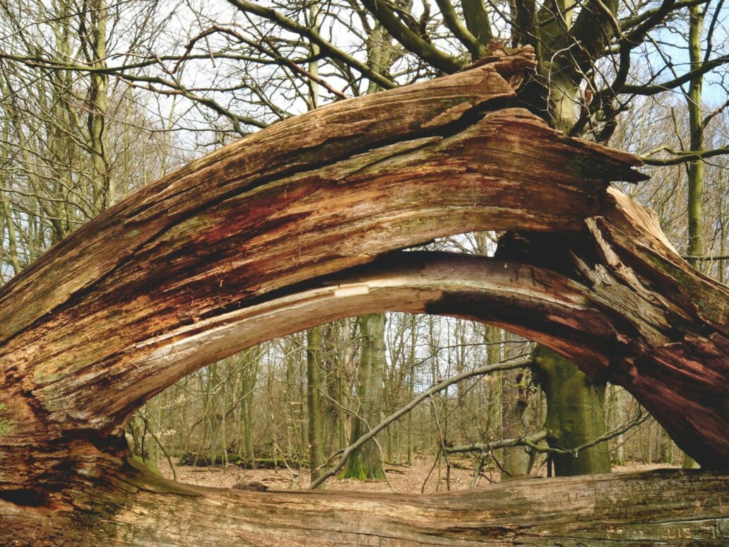 Brandschutz-Wissen – brandschutz+ eberl-pacan brandschutzplaner